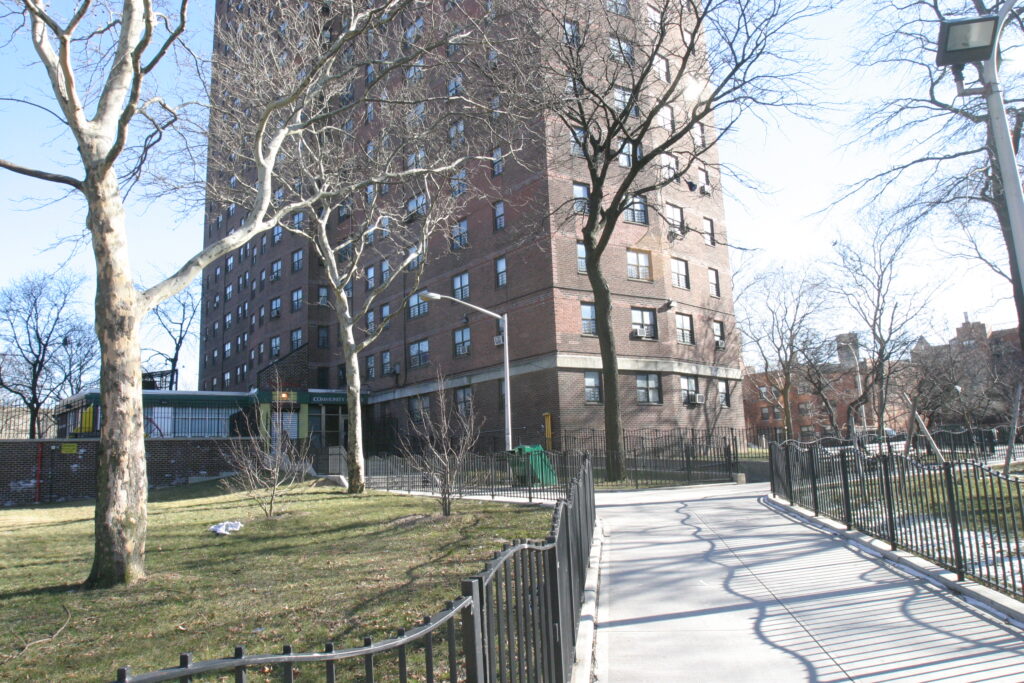 Federal Monitor Approves NYCHA’S Initial Lead Action Plan - NYCHA Now